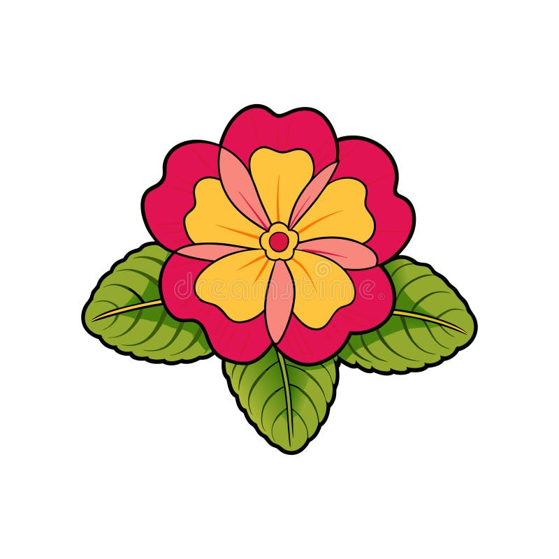 Vibrant Primrose Flower Bright Design Stock Illustration - Illustration ...