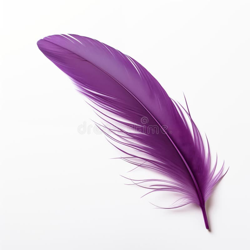 A Vibrant Purple Feather Rests Elegantly on a White Background ...