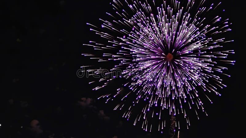 Vibrant Purple Firework Explosion Lighting Up the Night Sky, Creating a ...