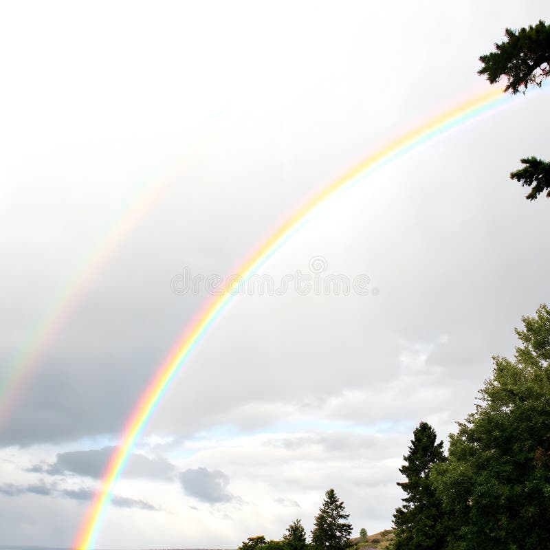 Vibrant Rainbow Arc, Natural Phenomenon Isolated on White Background ...
