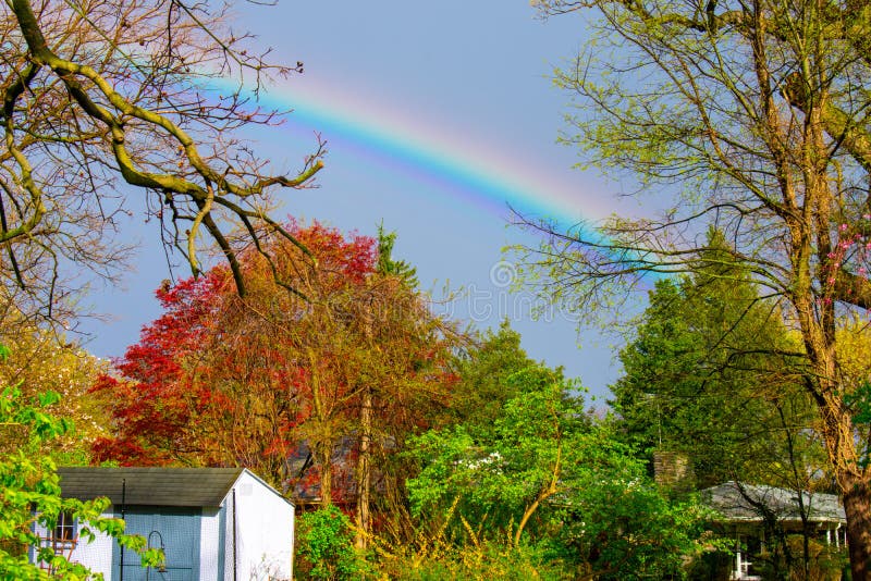 A Vibrant Rainbow Over Colorful Trees Stock Image - Image of outdoors ...