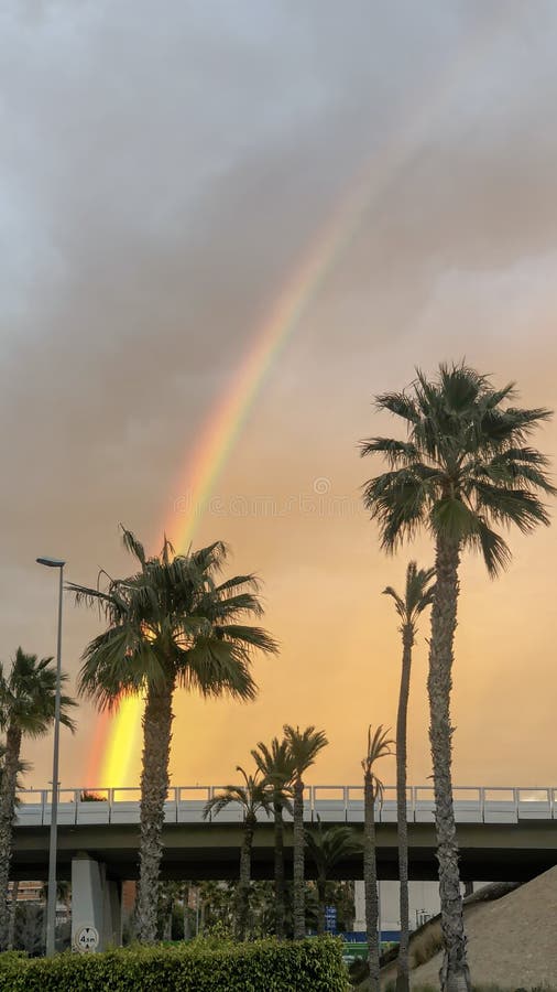 Vibrant Rainbow Over Palm Trees at Sunset Stock Photo - Image of ...