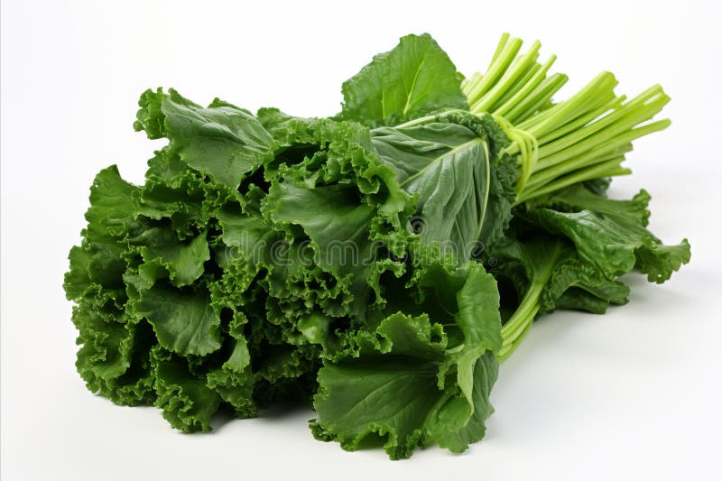 Vibrant Rapini Vegetables on White Backdrop for Captivating Visuals in ...