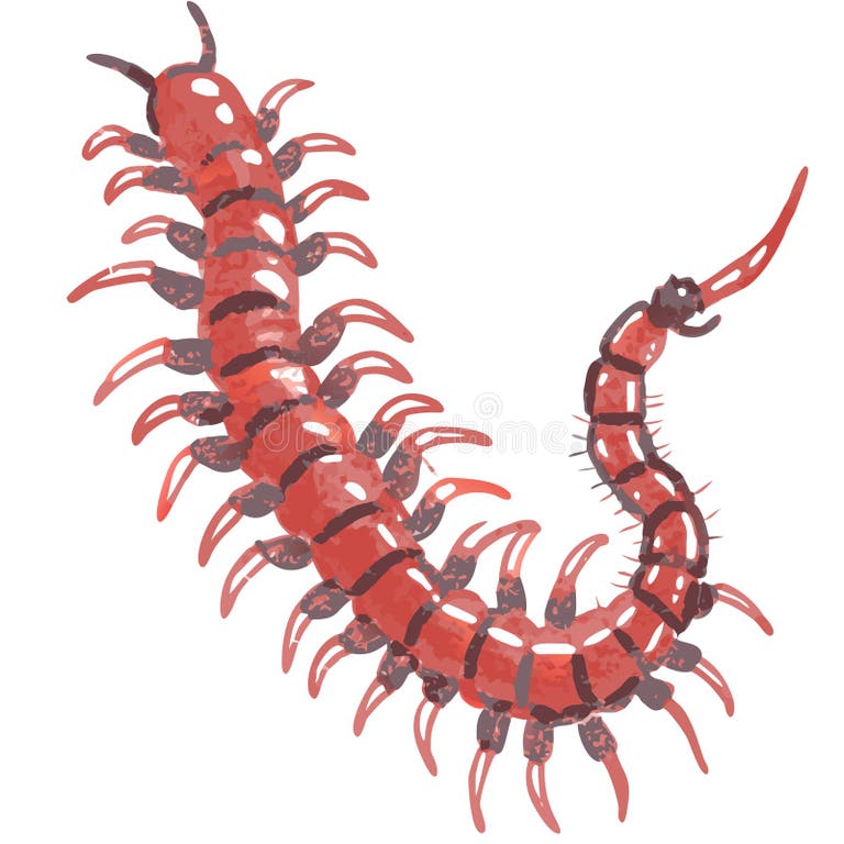 Educational Entomology Projects Stock Illustrations – 1,628 Educational ...