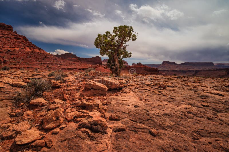 Red rocks of Utah stock photo. Image of mountains, cloud - 12721944