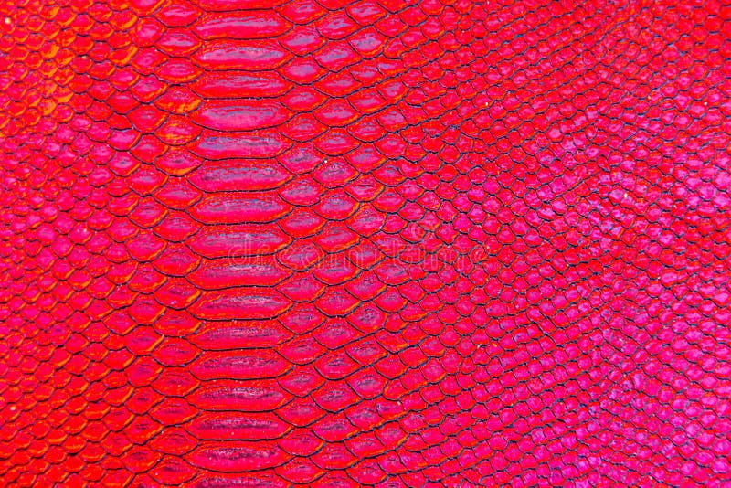 Red Snake or Dragon Scale Texture Print Stock Photo - Image of python ...