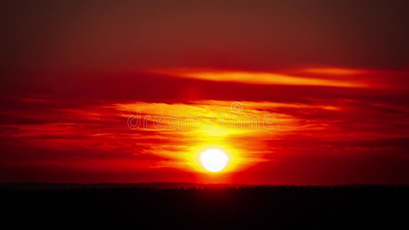 Fiery Red Sunset Over Dark Forest Horizon Stock Video - Video of nature ...