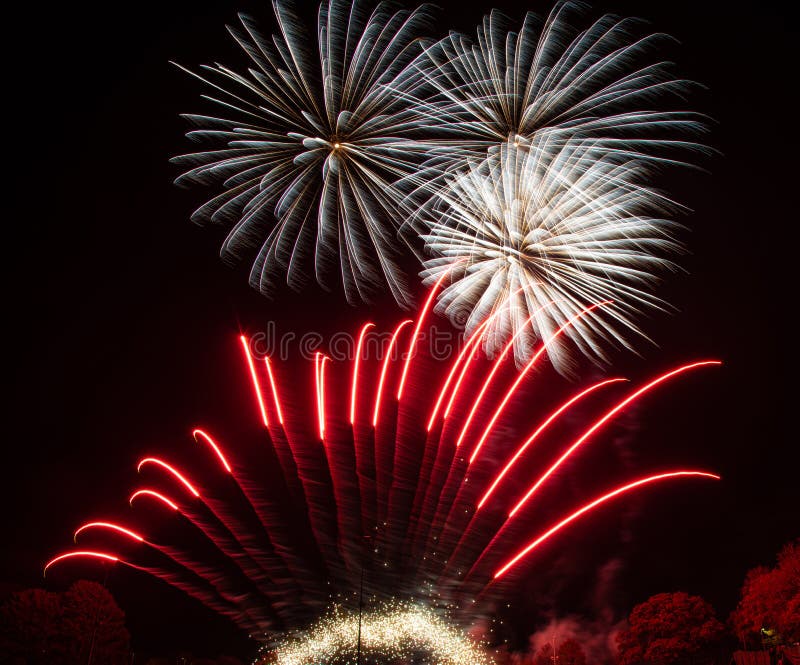 Golden Fireworks Creating a Palm Tree Shape in the Night Sky Stock ...