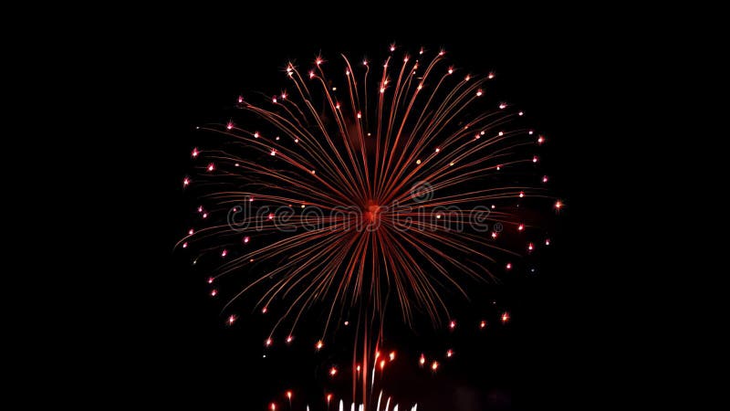Vibrant Red and White Fireworks Sequentially Bursting Against Deep ...