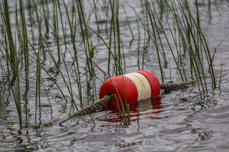 Vibrant Red and White Inflatable Ring Buoy Bobbing on the Surface of a ...