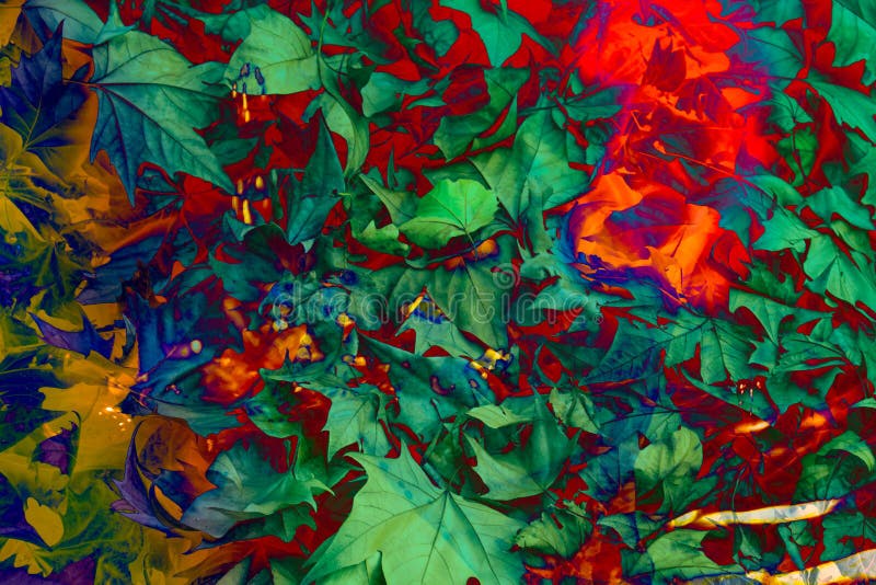 Vibrant Shapes and Colors with Abstract Leaf Patterns. Vibrant ...