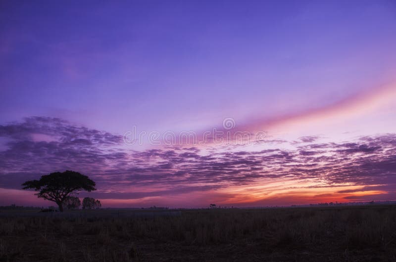 Vibrant Sky in an Early Morning with Violet Tone. Stock Photo - Image ...