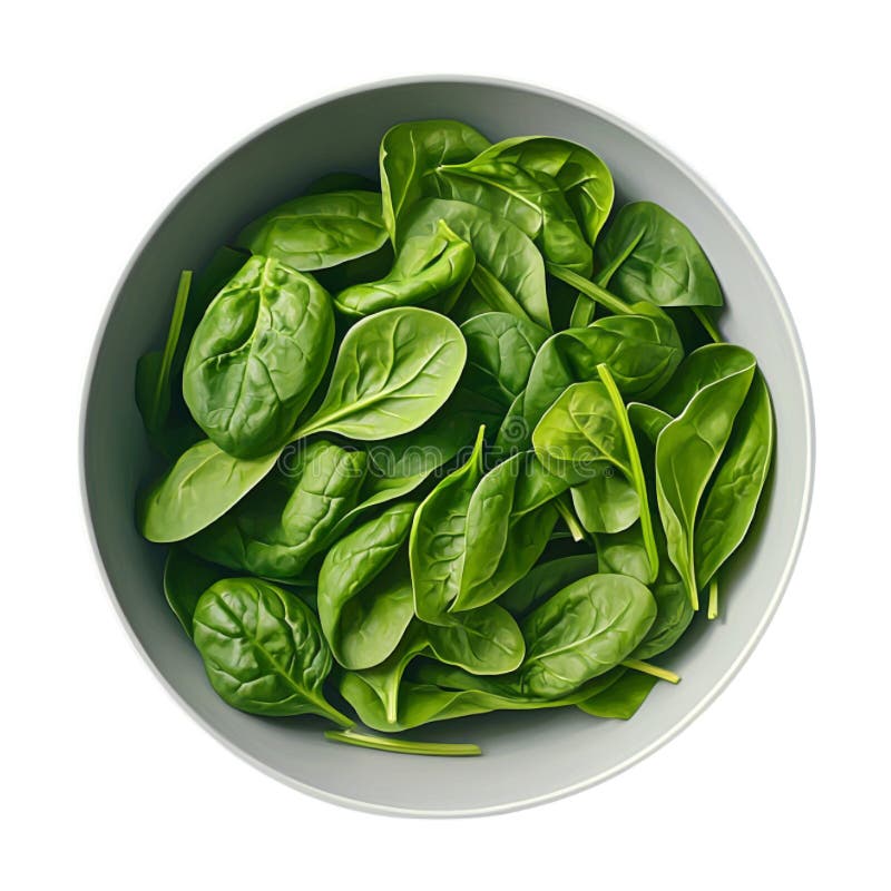 Vibrant Spinach Fresh Green and Ready To Eat on Transparent Background ...