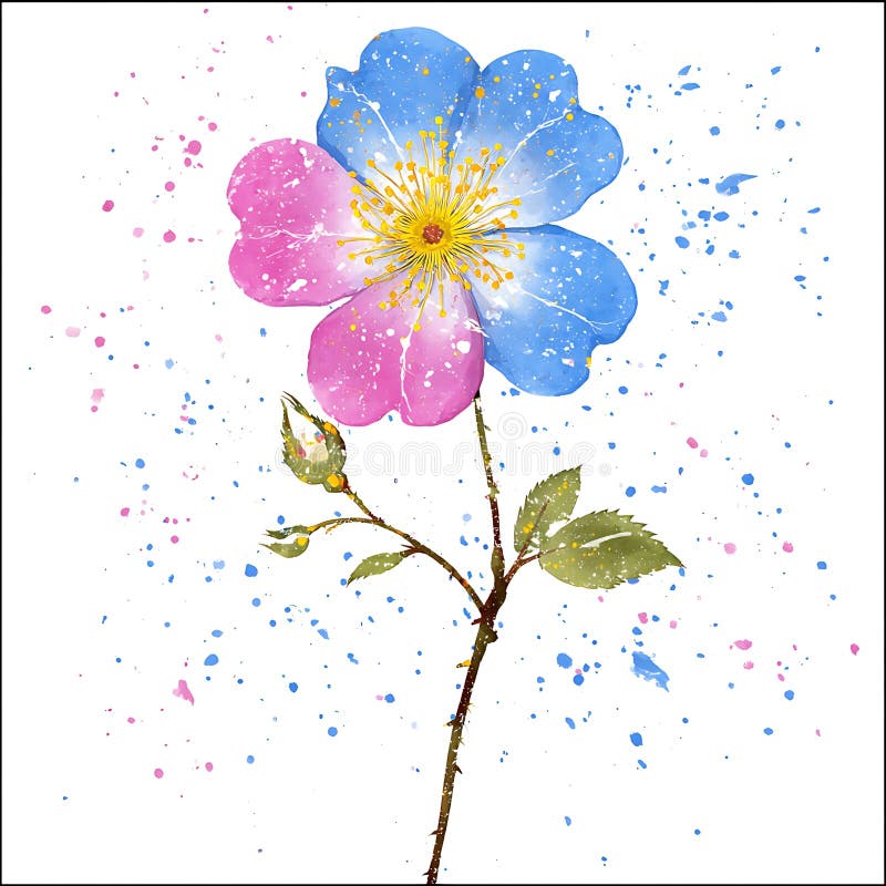 Split Color Flower Stock Illustrations – 1,584 Split Color Flower Stock ...