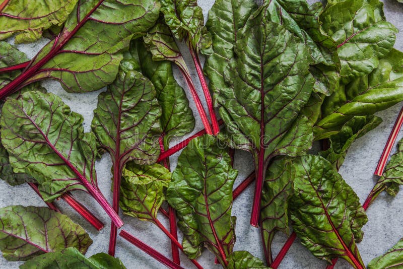 Vibrant Summer Vege Chard from Above Stock Image - Image of colorful ...