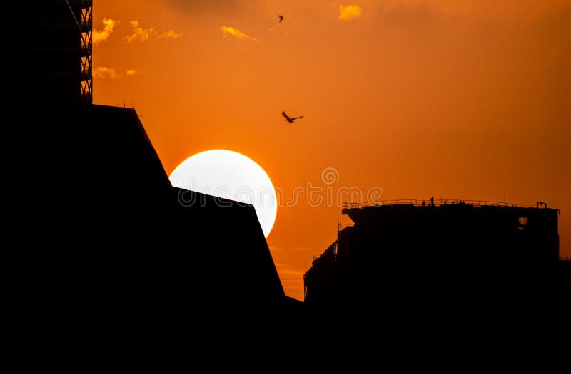 Vibrant Sunset with Bird Flying Over Building Stock Photo - Image of ...