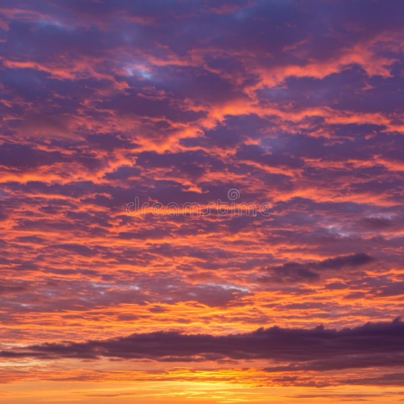 Vibrant Sunset Sky with Orange Purple Clouds Stock Illustration ...