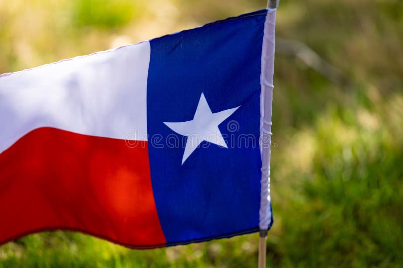 Vibrant Texas Flag Waving in the Wind Against a Lush Green Grass ...