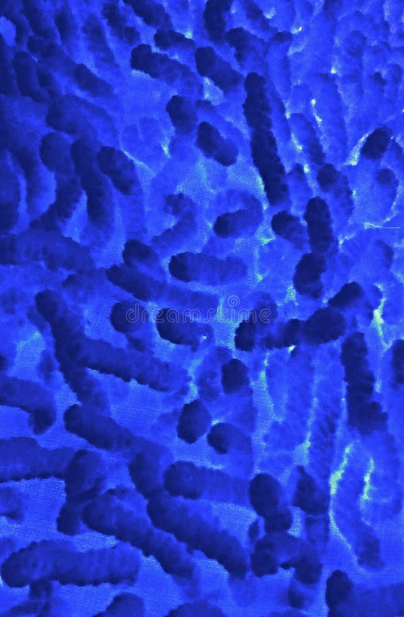 Vibrant texture stock image. Image of backround, curtain - 129895103