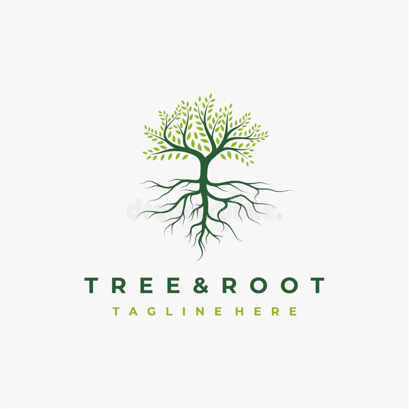 Abstract Vibrant Tree Logo Design, Root Vector - Tree of Life Logo ...