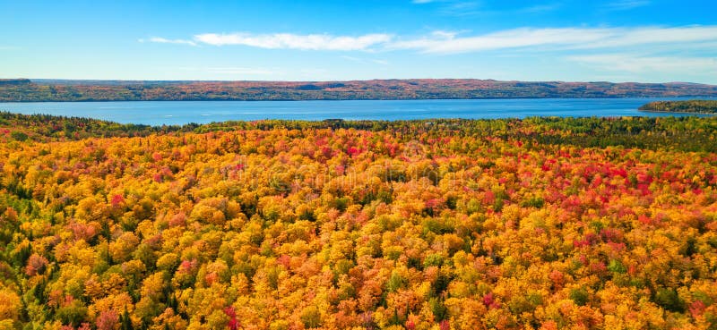 Vibrant Trees and Landscape on East Coast of Atlantic Ocean. Quebec ...