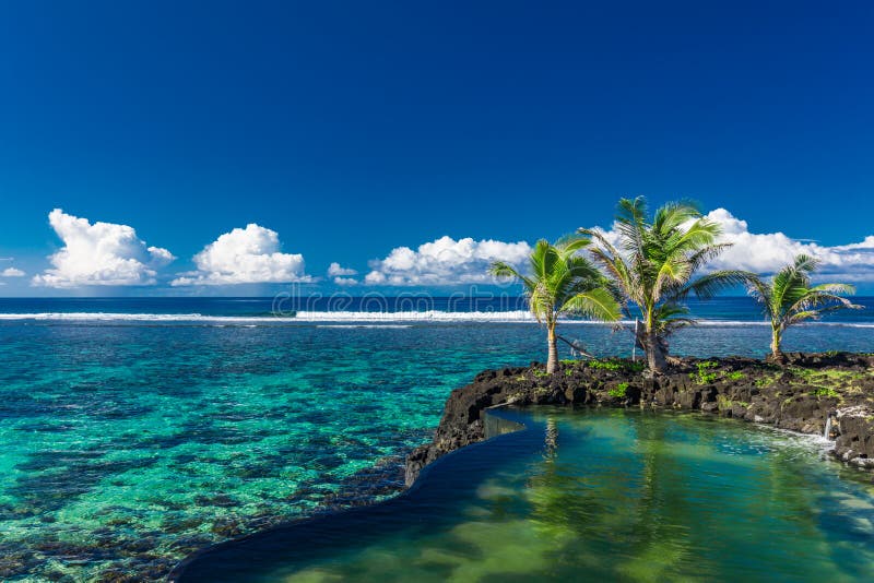 Vibrant Tropical Beach with Palm Trees, Upolu, Samoa Stock Image ...