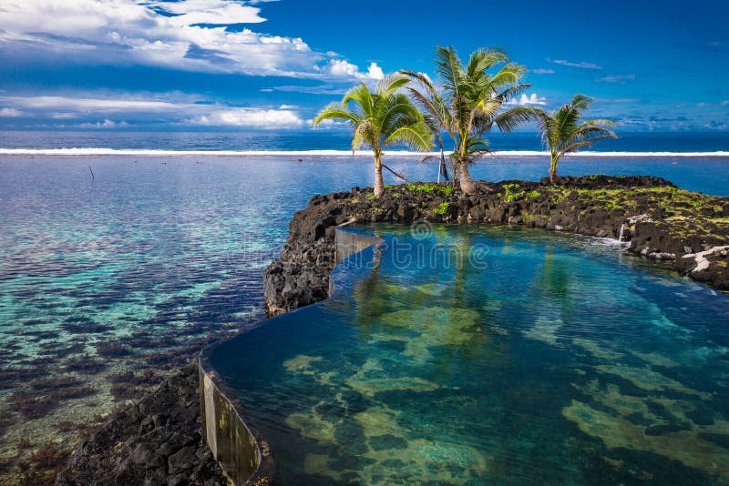 Vibrant Tropical Beach with Palm Trees, Upolu, Samoa Stock Image ...