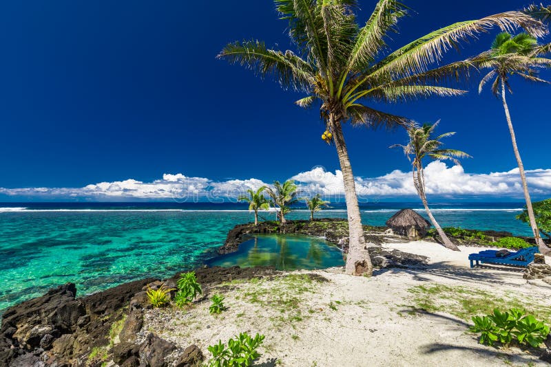 Vibrant Tropical Beach with Palm Trees, Upolu, Samoa Stock Image ...