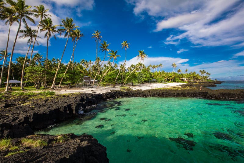 Vibrant Tropical Beach with Palm Trees, Upolu, Samoa Stock Photo ...
