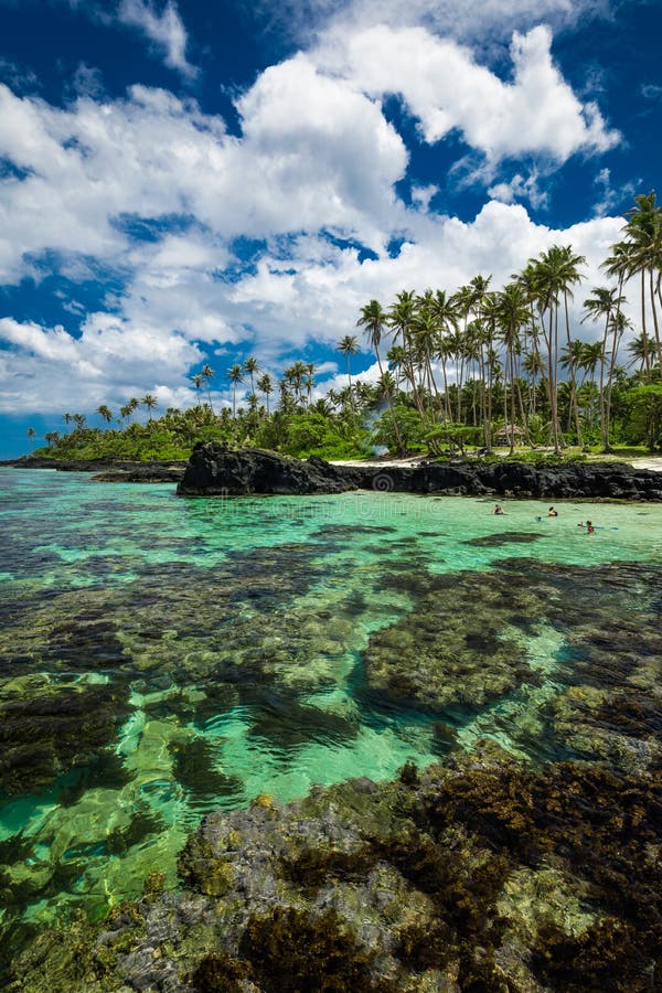 Vibrant Tropical Beach with Palm Trees, Upolu, Samoa Stock Photo ...