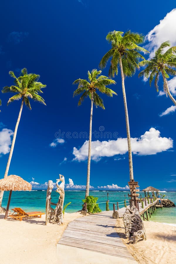 Vibrant Tropical Beach with Palm Trees, Upolu, Samoa Stock Image ...