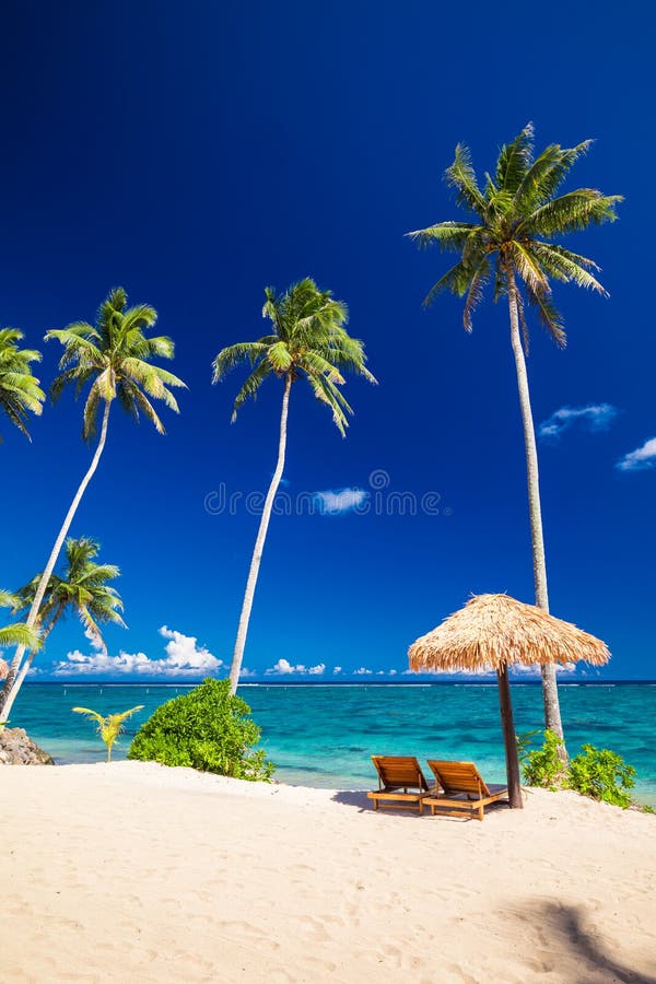 Vibrant Tropical Beach with Palm Trees, Upolu, Samoa Stock Photo ...
