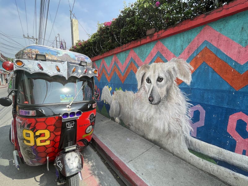 Vibrant Tuk-Tuk and Dog Mural in Guatemala Stock Image - Image of ... Vibrant Tuk-Tuk and Dog Mural in Guatemala Stock Image - Image of ...