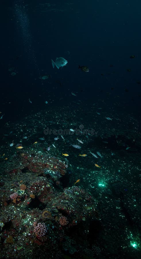 Vibrant Underwater Scene with Diverse Marine Life in Deep Blue Ocean ...