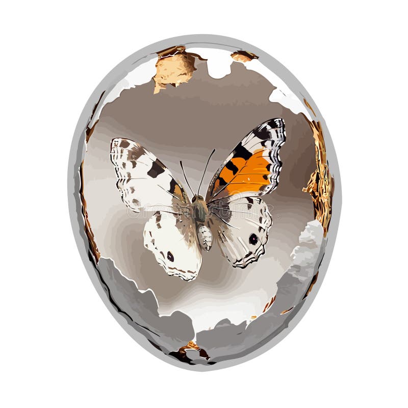 Vibrant Vector Butterfly Emerging from Egg. Stock Vector - Illustration ...