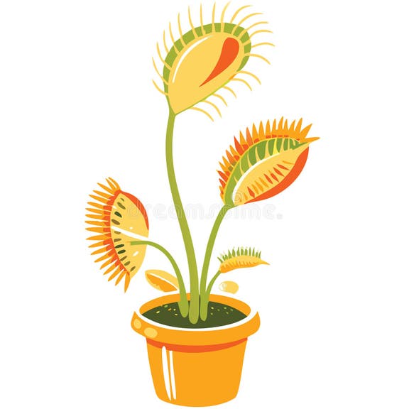 Vibrant Venus Flytrap in Orange Pot Vector Illustration for Botanical ...