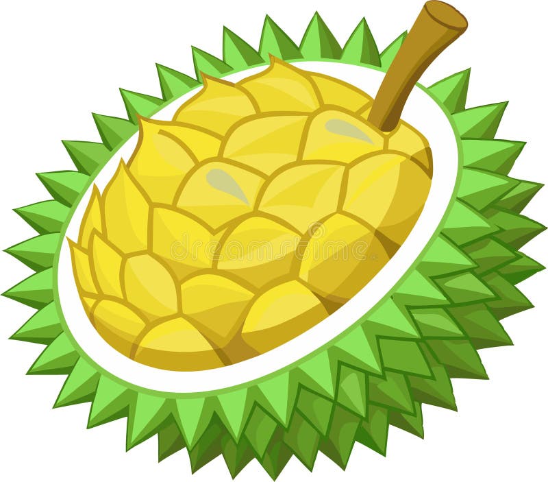Delicious Tropical Durian Fruit Stock Illustrations – 3,945 Delicious ...