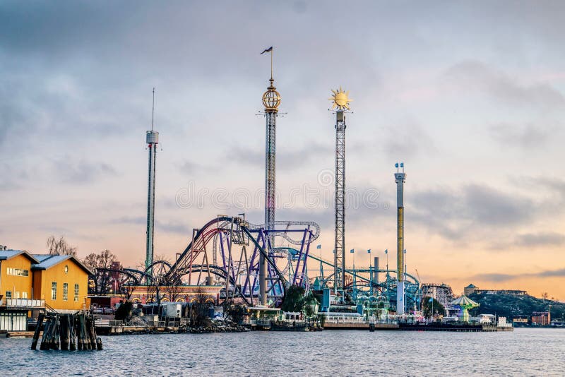 Vibrant Roller Coaster Miniature Rose Surrounded by Lush Green Foliage ...
