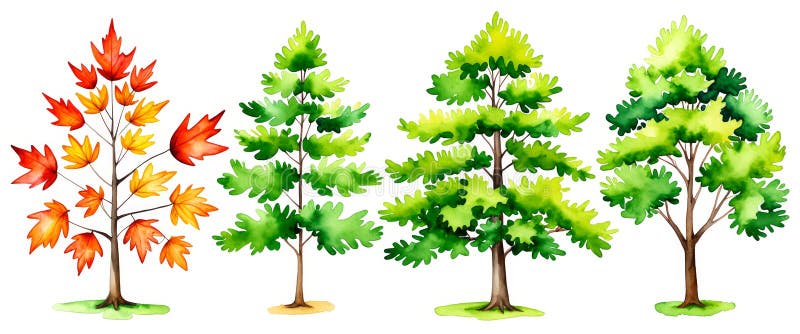 Vibrant Watercolor Trees Showcasing Seasonal Changes and Foliage ...