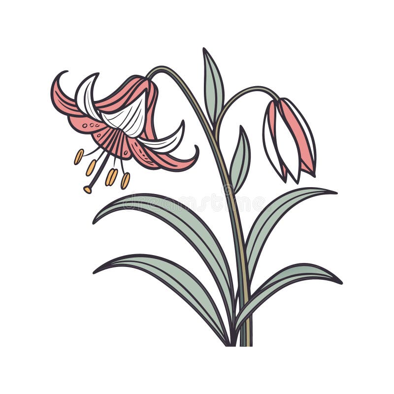 Vibrant Wizard Flower Illustration with Bold Outline Stock Illustration ...