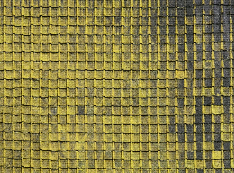 Vibrant Yellow Moss Covering Tiled Roof Surface Stock Image - Image of ...