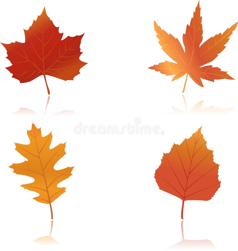 Autumn Leaves Design Elements, Vector Stock Vector - Illustration of ...