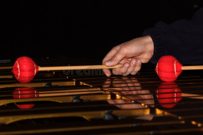 Vibraphone stock image. Image of drumstick, event, perform - 8248903