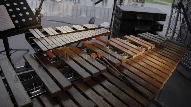 The Vibraphone is Now Fully Prepared and Ready for a Captivating ...