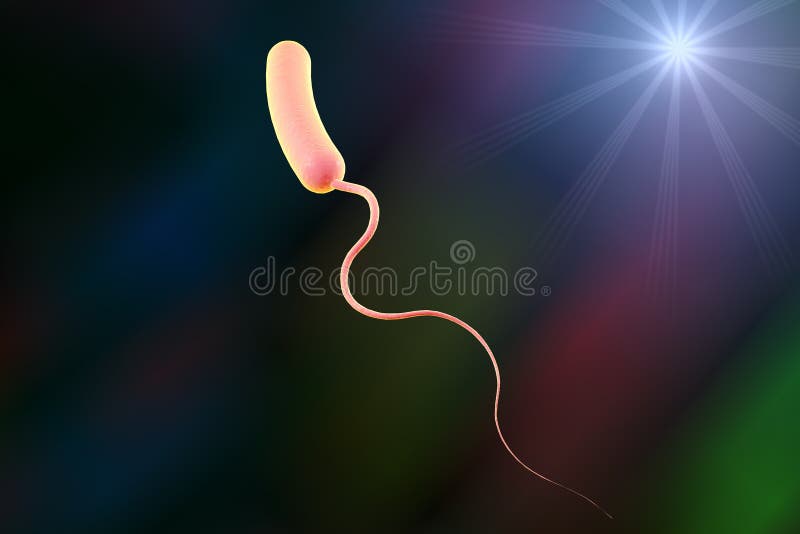 Vibrio Cholerae Smart Professor Cartoon Design Style Working with Glass ...