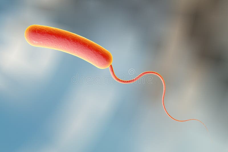 Vibrio cholerae bacterium stock illustration. Illustration of macro ...