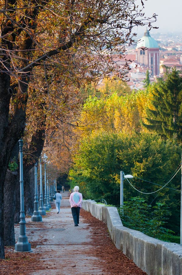 Vicenza hills editorial stock image. Image of berico - 50830649