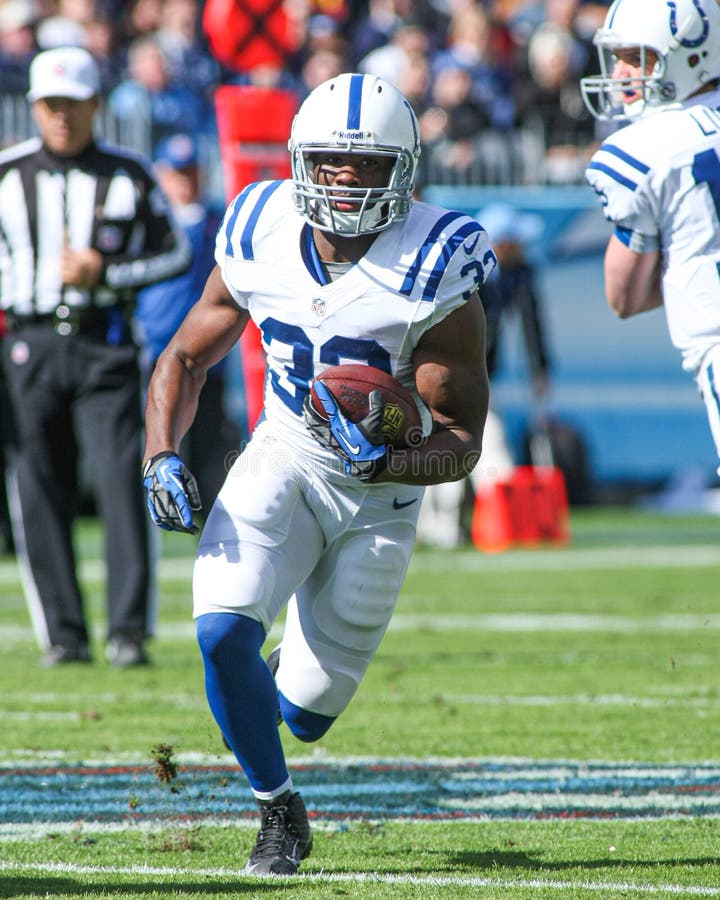 Colts running stock photo. Image of gallop, galloping - 8500650