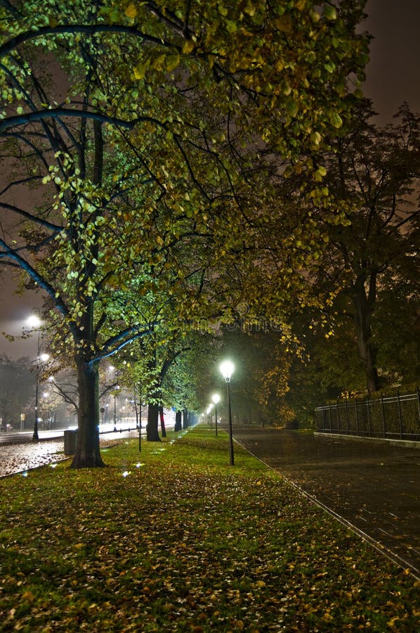 Vicolo Della Sosta Alla Notte Fotografia Stock - Immagine di cespuglio ...