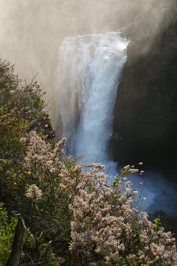 Victoria Falls stock image. Image of landscape, large - 27655035